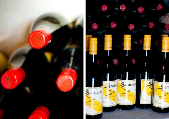 Gallery | Badenhorst Family Wines