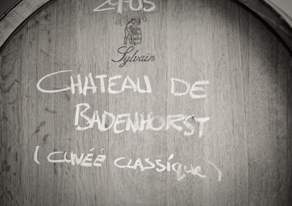 Gallery | Badenhorst Family Wines