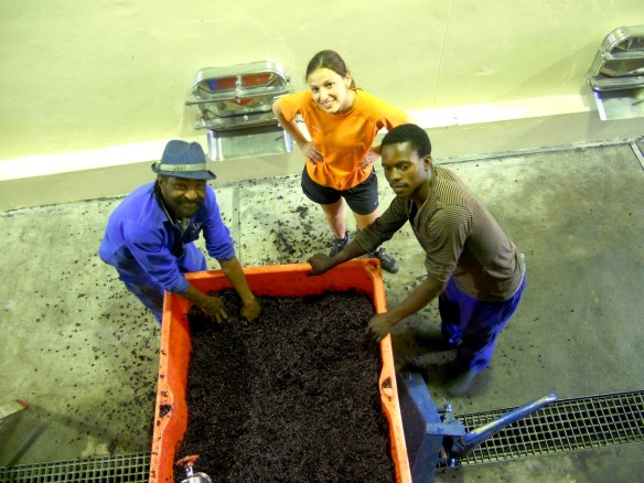 Gallery | Badenhorst Family Wines